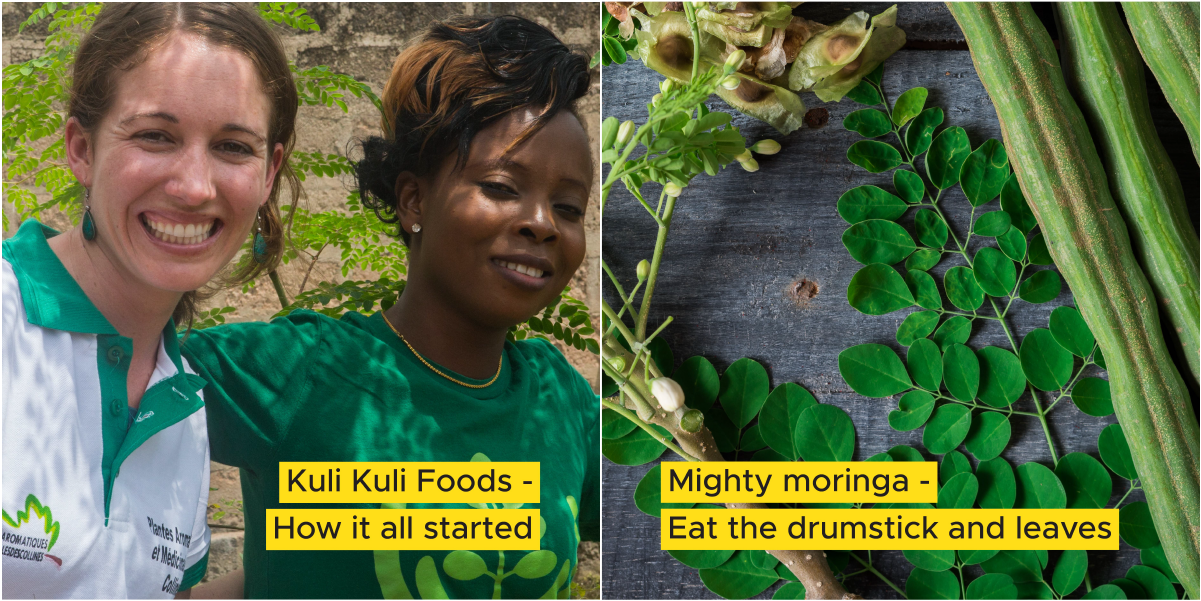 Moringa (drumstick) and the story of Kuli Kuli - UCPL India